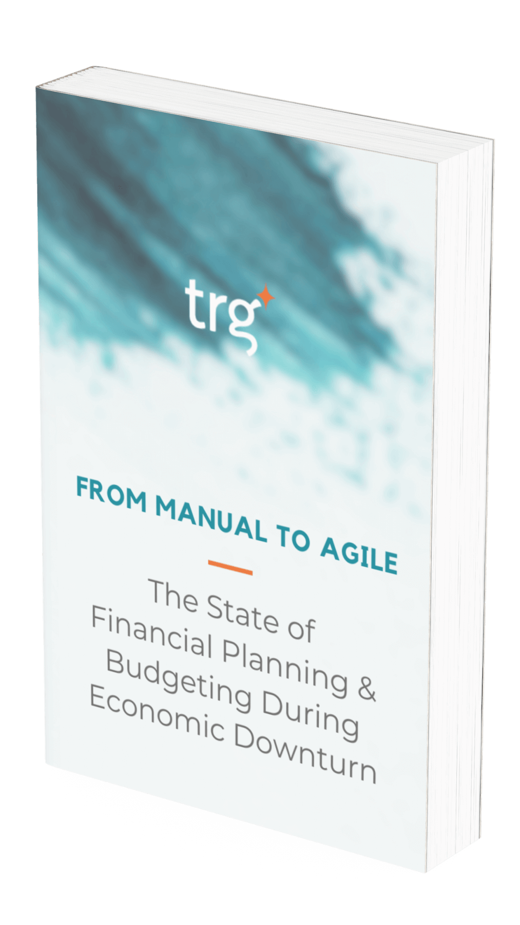 Modern Financial Forecasting Dynamic Planning In An Uncertain World